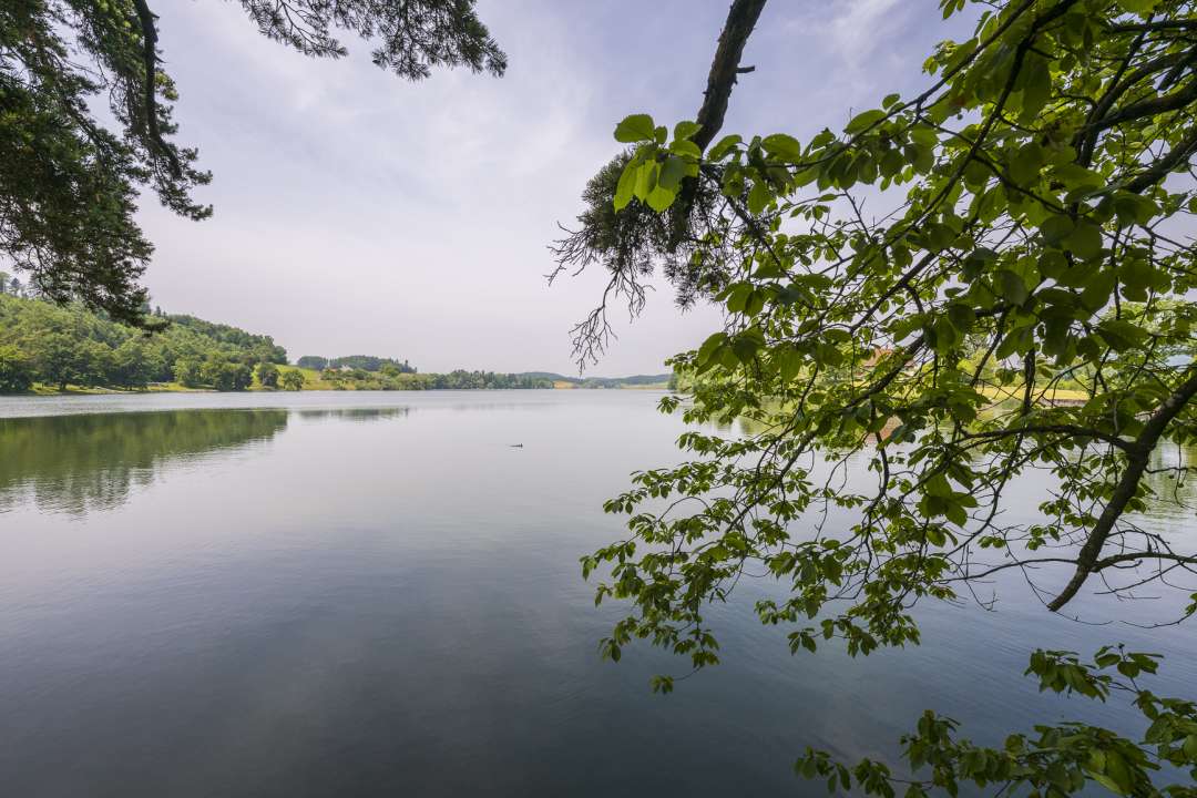 Le lac de Bret sera mieux protégé | Lausanne Cités